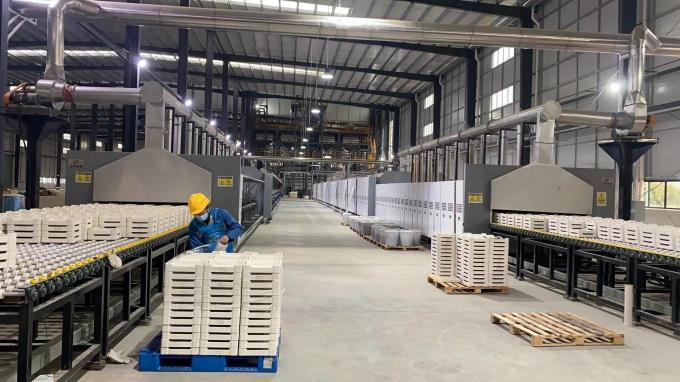 Nature Artificial Graphite RHK Roller Hearth Furnace